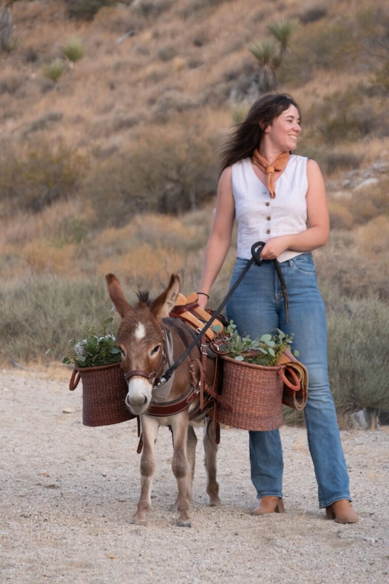 Mojave Mini Donkeys - An Unforgettable Hike Near Joshua Tree - Mariana ...