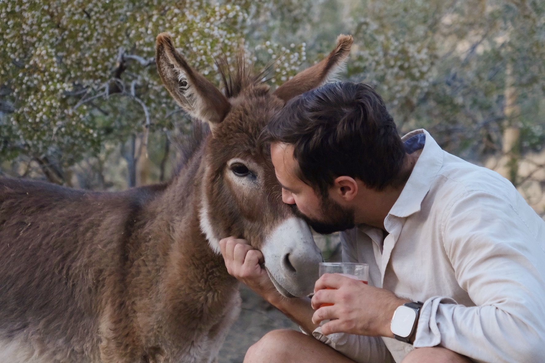Mojave Mini Donkeys - An Unforgettable Hike Near Joshua Tree - Mariana ...